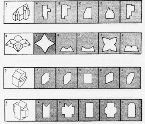 The Perceptual Ability Test - Testing.org